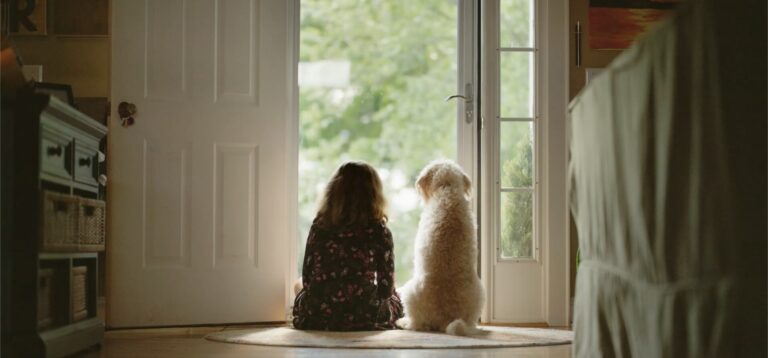 Pet friendly - Davis Fabrics