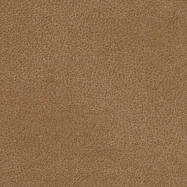 Canyon - Davis Fabrics